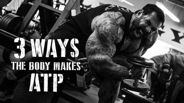3 Ways The Body Makes ATP – 5% Nutrition