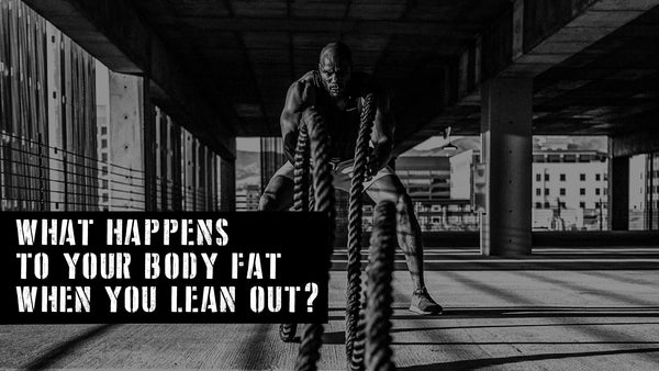 What Happens To Your Bodyfat When You Lean Out? – 5% Nutrition